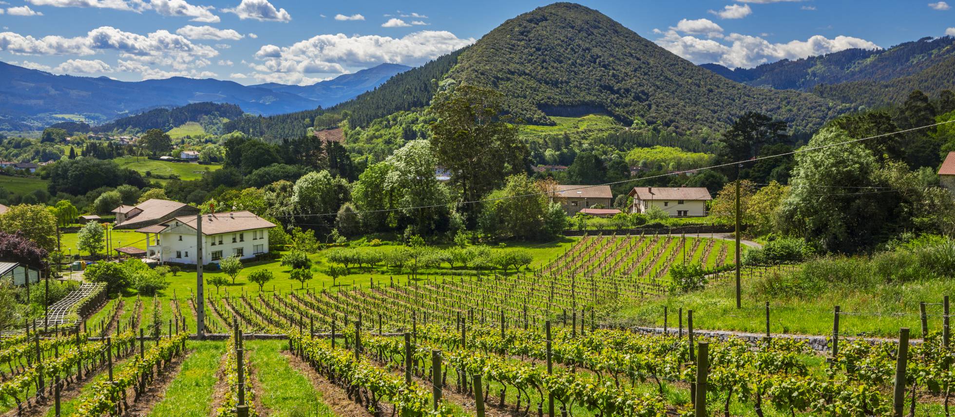 El secreto mejor guardado del campo español se esconde en un polígono ...