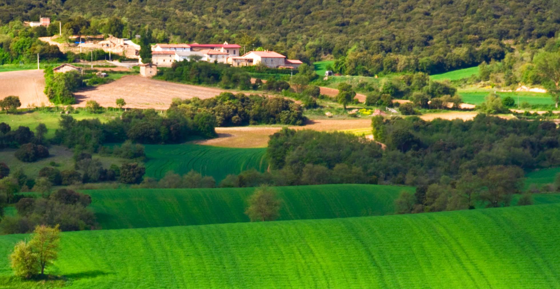 El coronavirus pone en valor el campo y el ‘Made in Spain’ | Opinión ...