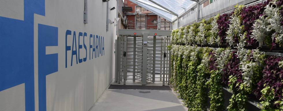 Faes Farma gana un 24,5 % más, hasta 45,6 millones netos | Compañías ...