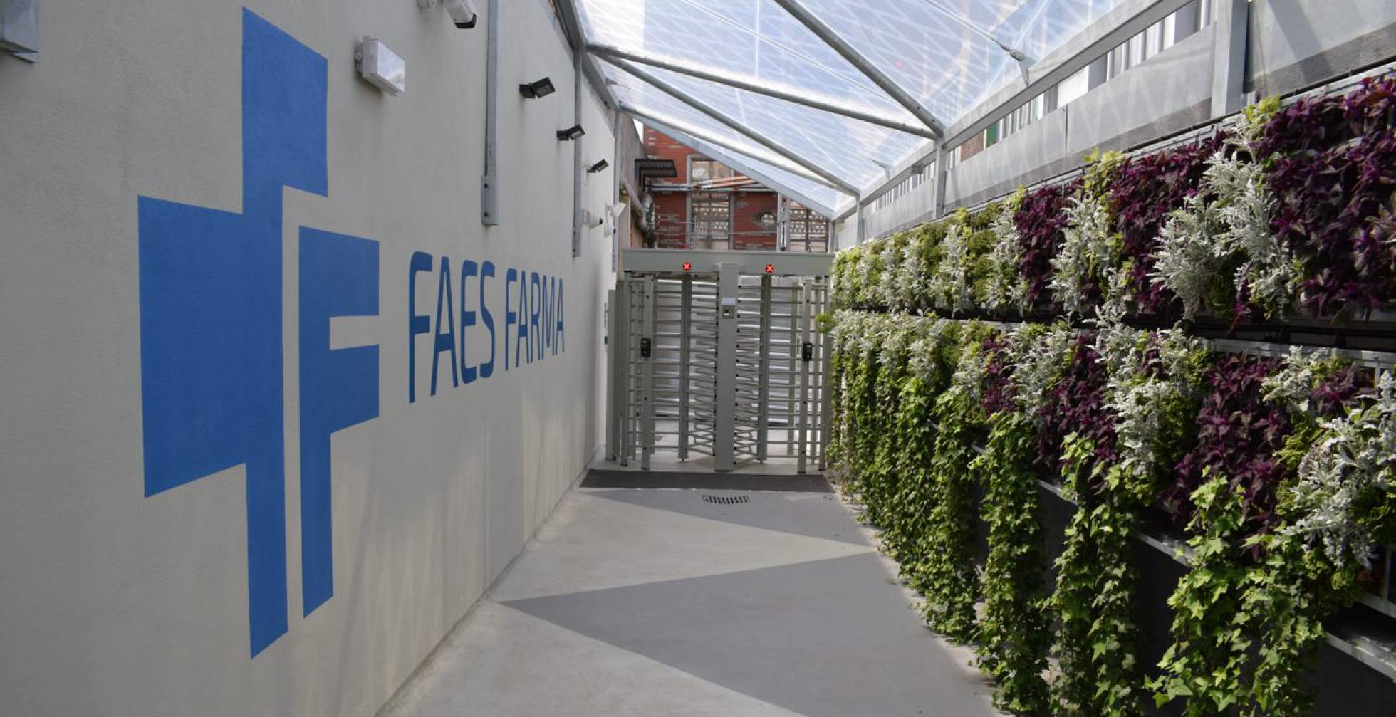 Faes Farma compra Global Farma por 23,5 millones | Compañías | Cinco Días