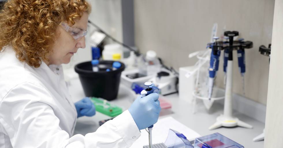 GSK, en guerra contra la malaria y la tuberculosis | Compañías | Cinco Días
