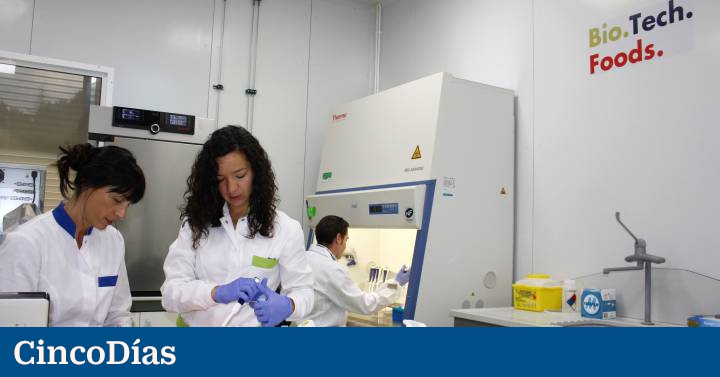 Biotech Foods invertirá 30 millones en la primera fábrica de carne ...