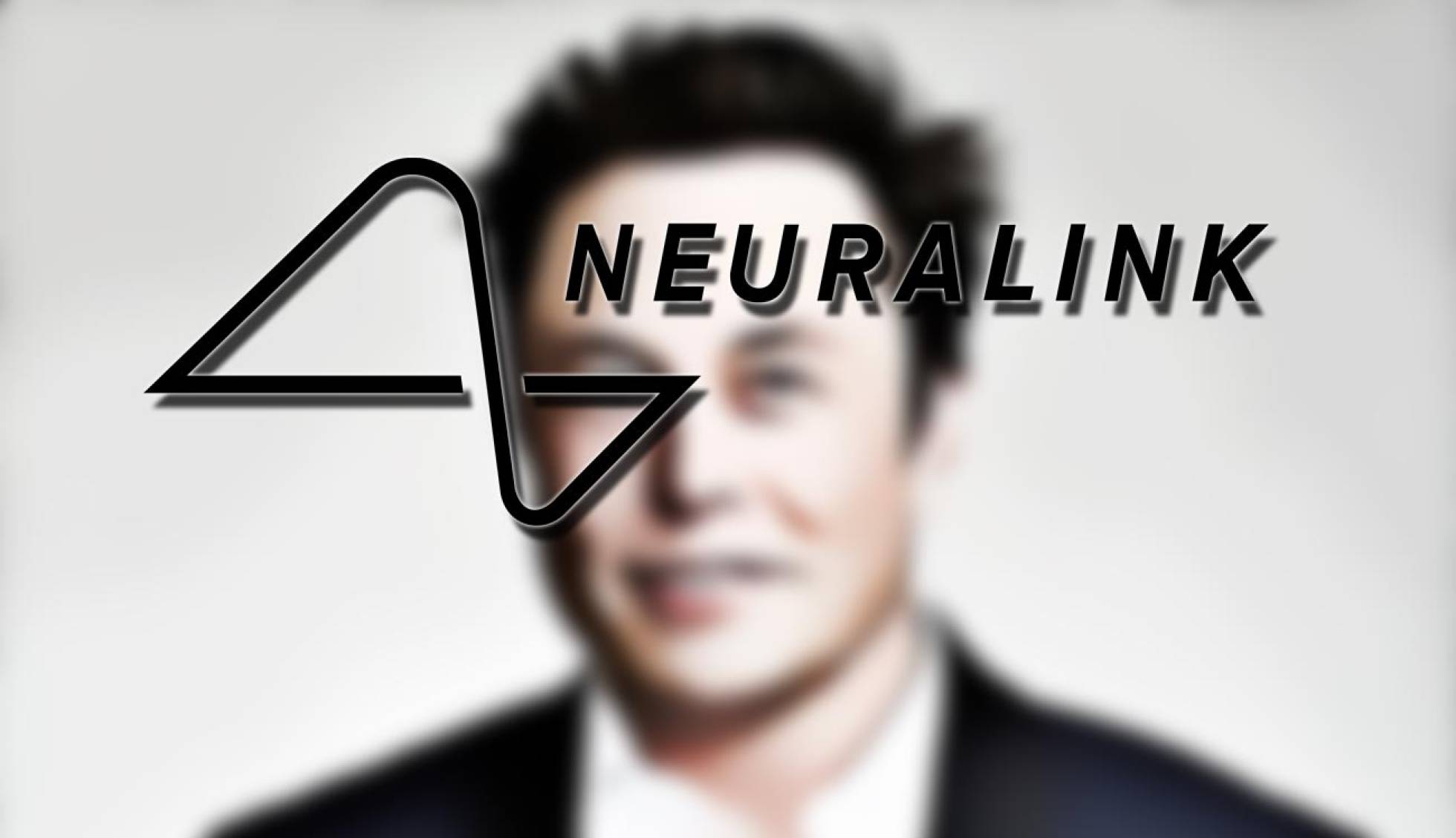 Neuralink Consigue Premisos Para Probar Sus Implantes Cerebrales En